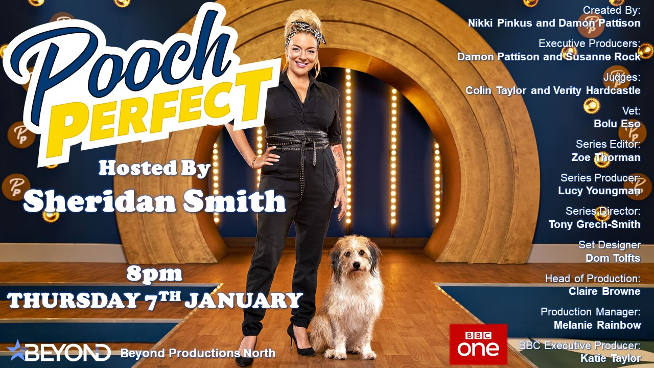 Perfect Paws - Gallery