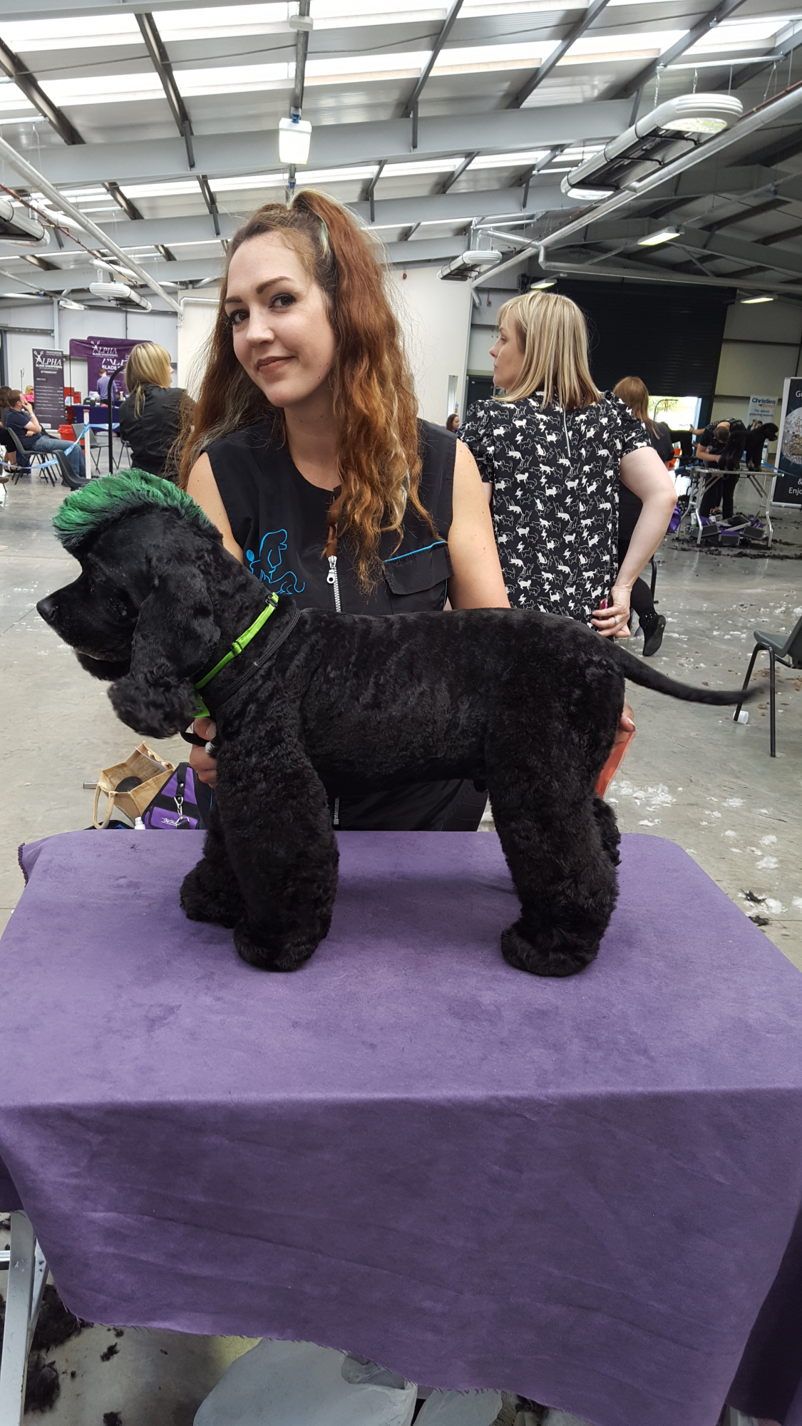 Perfect Paws - Gallery